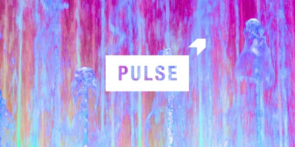 Pulse: Meaning - Raw Signal Group